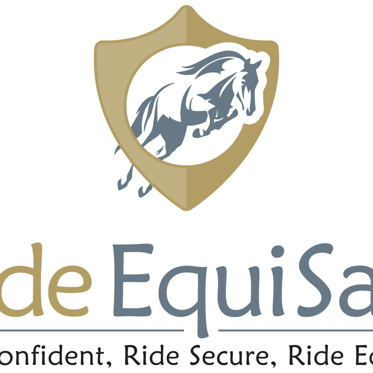 Dy'on – Ride EquiSafe